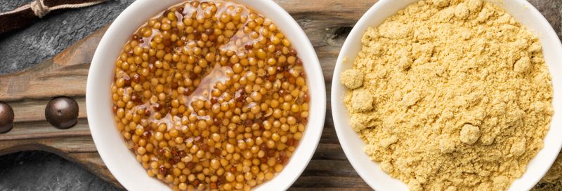 Einzigartige Senfsorten online kaufen – nur bei SENF.DE